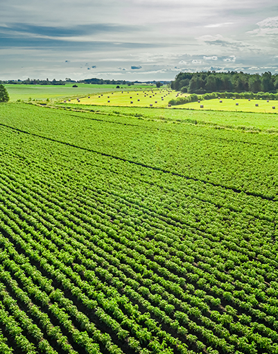 Quienes Somos – Agro Rural